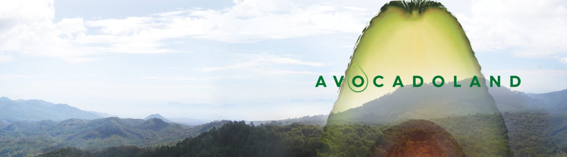 Avocados From Mexico | Avocado Nutrition, Recipes, & Cooking Tips